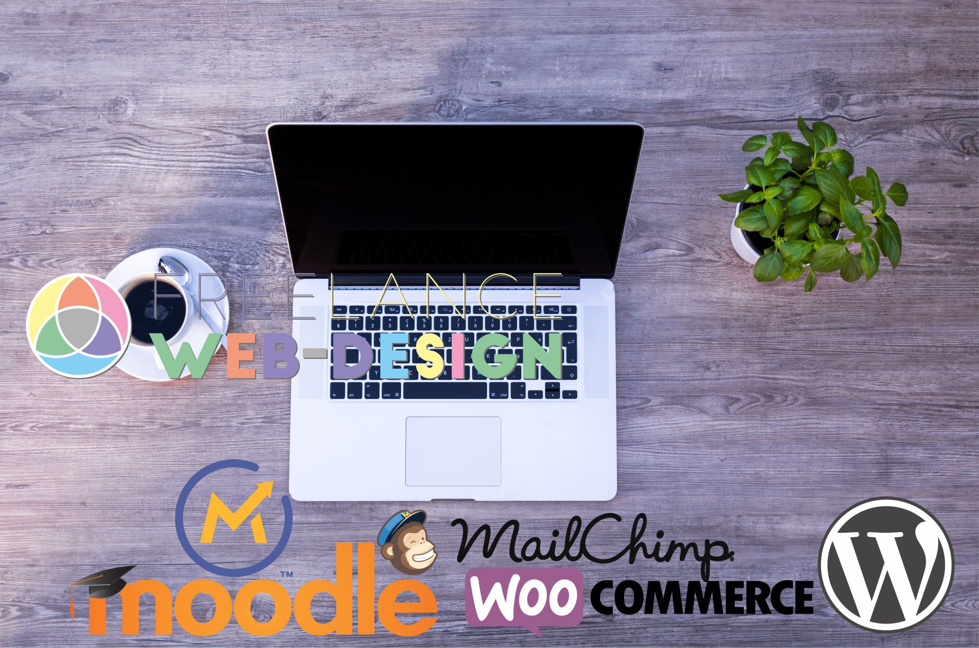 Web design in León - Drouiz